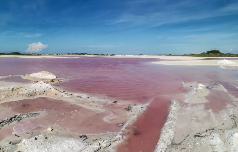 Las Coloradas: la laguna rosa nello Yucatan - Whext travel blog